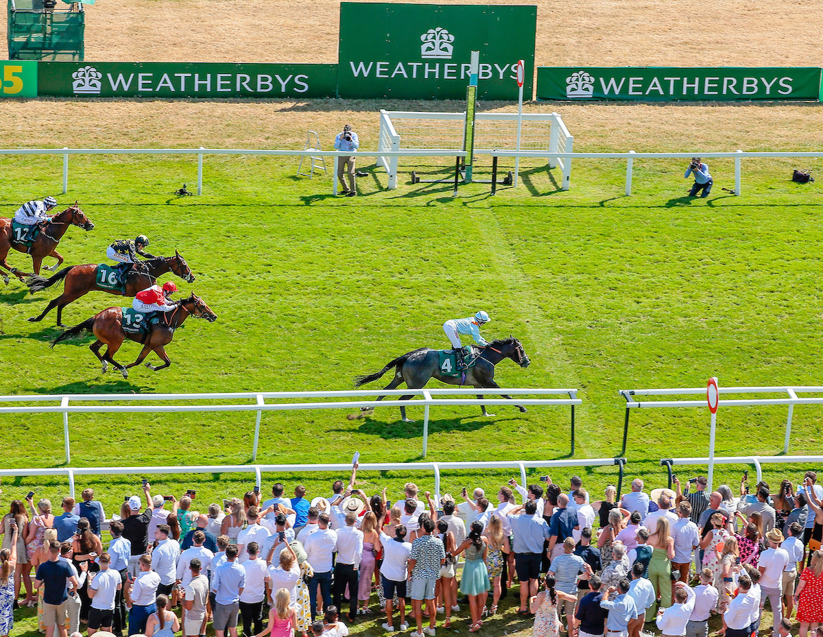 The bettrends Flat Horses To Follow 2023 – Weatherbys Shop