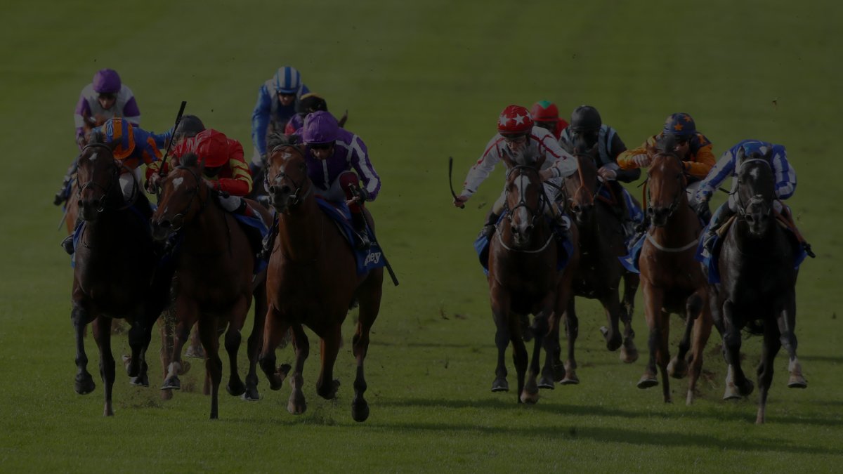 Flat Racing – Weatherbys Shop