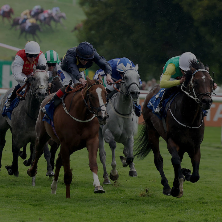 BHA Publications – Tagged "Racing Calendar"– Weatherbys Shop