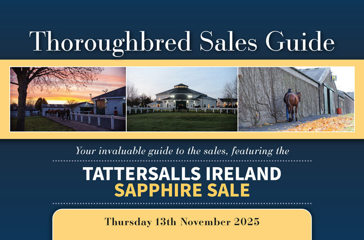 Tattersalls Ireland Sapphire Sale (Foals & Breeding Stock Sale) 2025 ...